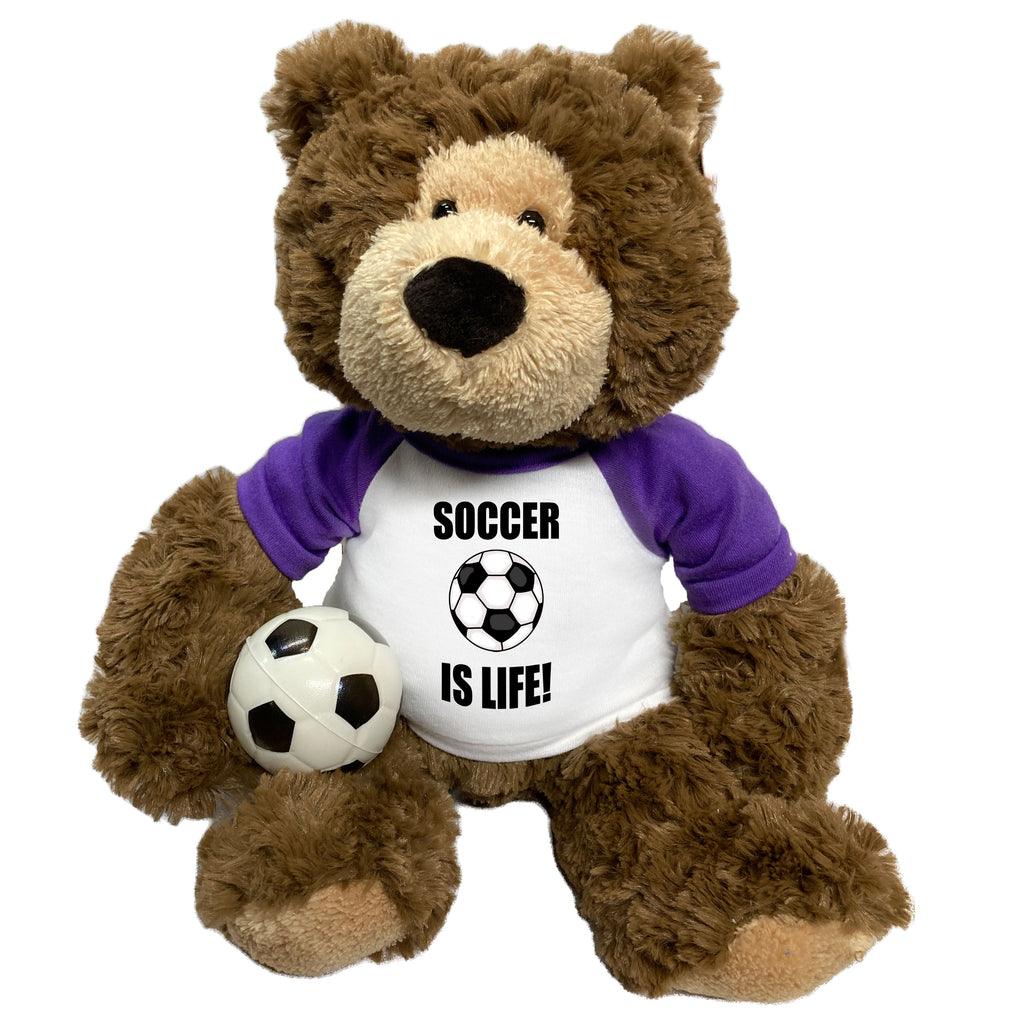 Soccer Teddy Bear - Personalized 14" Bear Hugs – Say it with a Stuffed ...